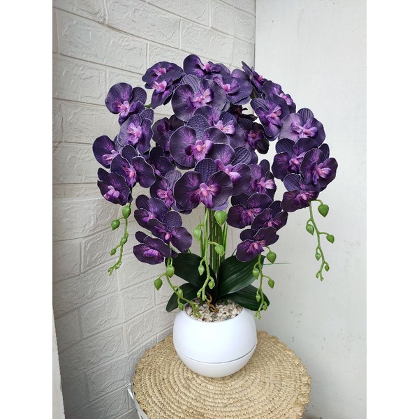 Jual bunga anggrek latex 5 tangkai super rimbun pot bola | Shopee Indonesia