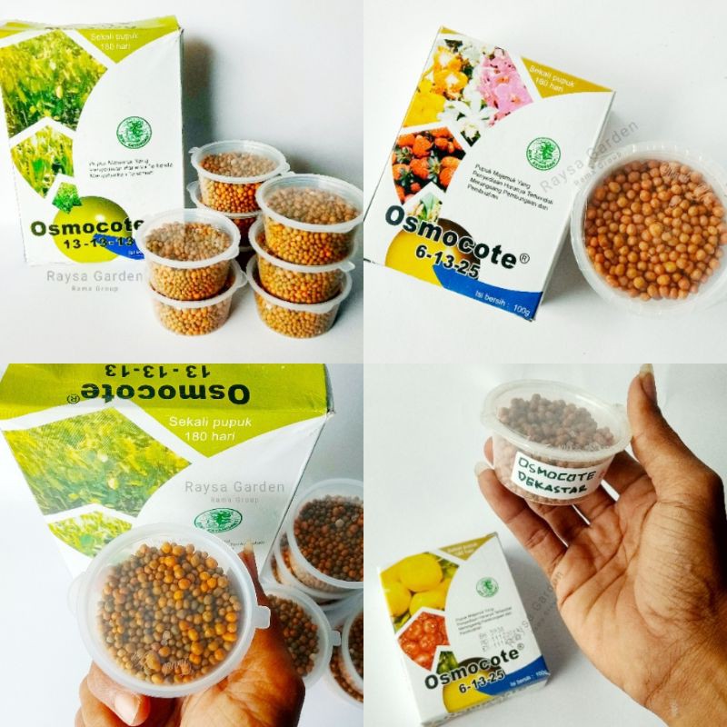 Jual Pupuk NPK Dekastar Osmocote kemas cup repack | Shopee Indonesia