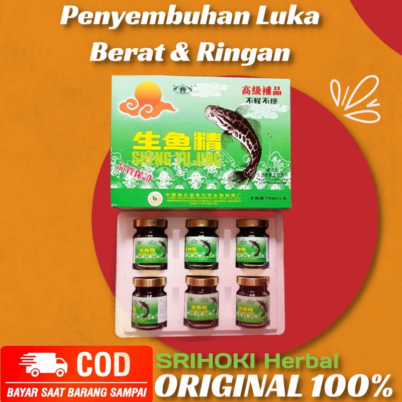 Jual bat Herbal Luka Berat & Ringan SHENG YU JING 6 Botol SARI IKAN GABUS KUTUK Pasca Operasi ...