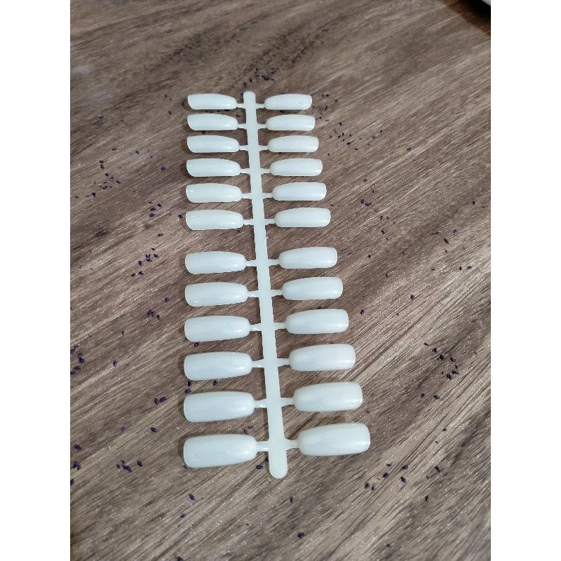 Jual NAIL COLOR CHART DISPLAY STRIP OVAL NAIL POLISH KUKU PALSU NATURAL ...