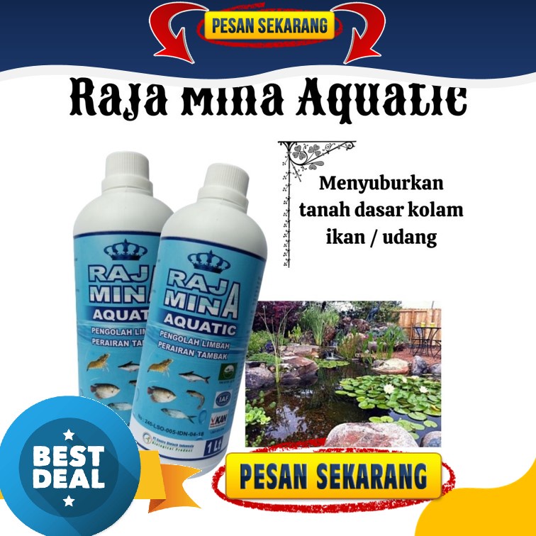 Jual Probiotik Dekomposer Limbah Perairan Raja Mina Aquatic Pengolahan ...