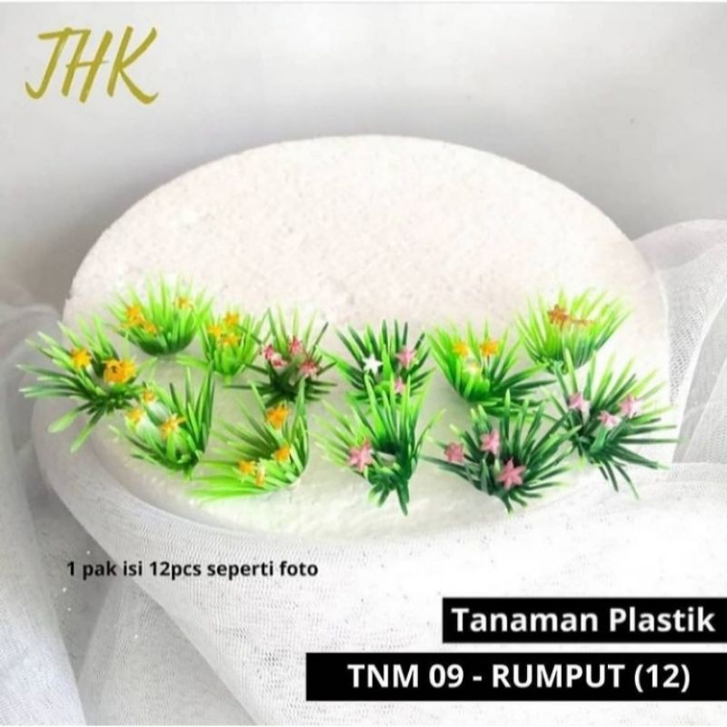 Jual TNM09 - Hiasan Kue Cake Topper Rumput Tanah kecil isi 12 | Shopee ...
