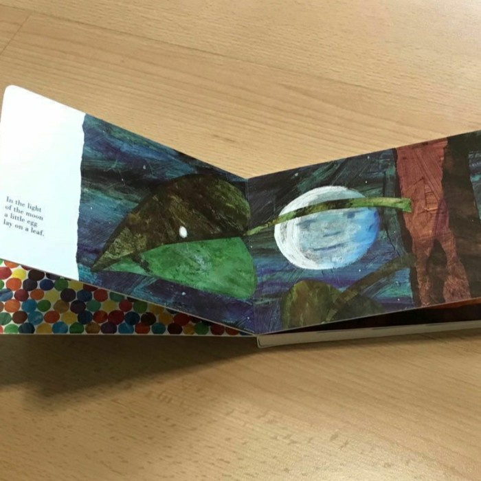 Jual THE VERY HUNGRY CATERPILLAR ERIC CARLE BOARD BOOK | Shopee Indonesia