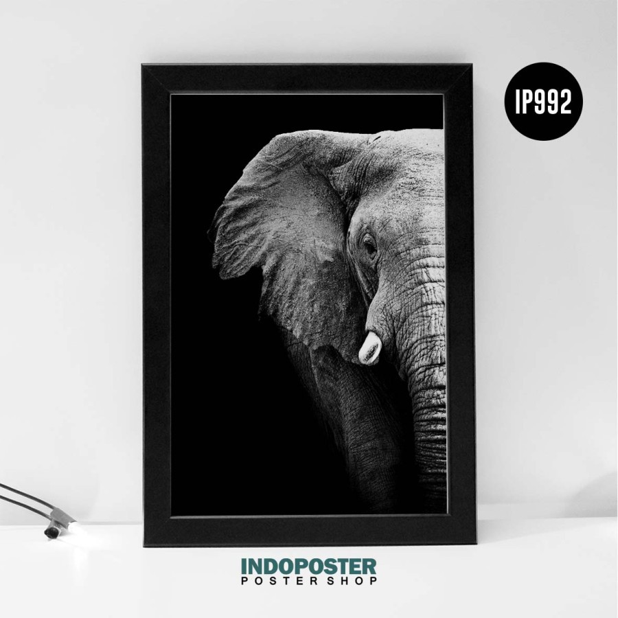 Jual Poster Hewan Elephant Gajah Aesthetic B/W Hitam Putih Aesthetic ...