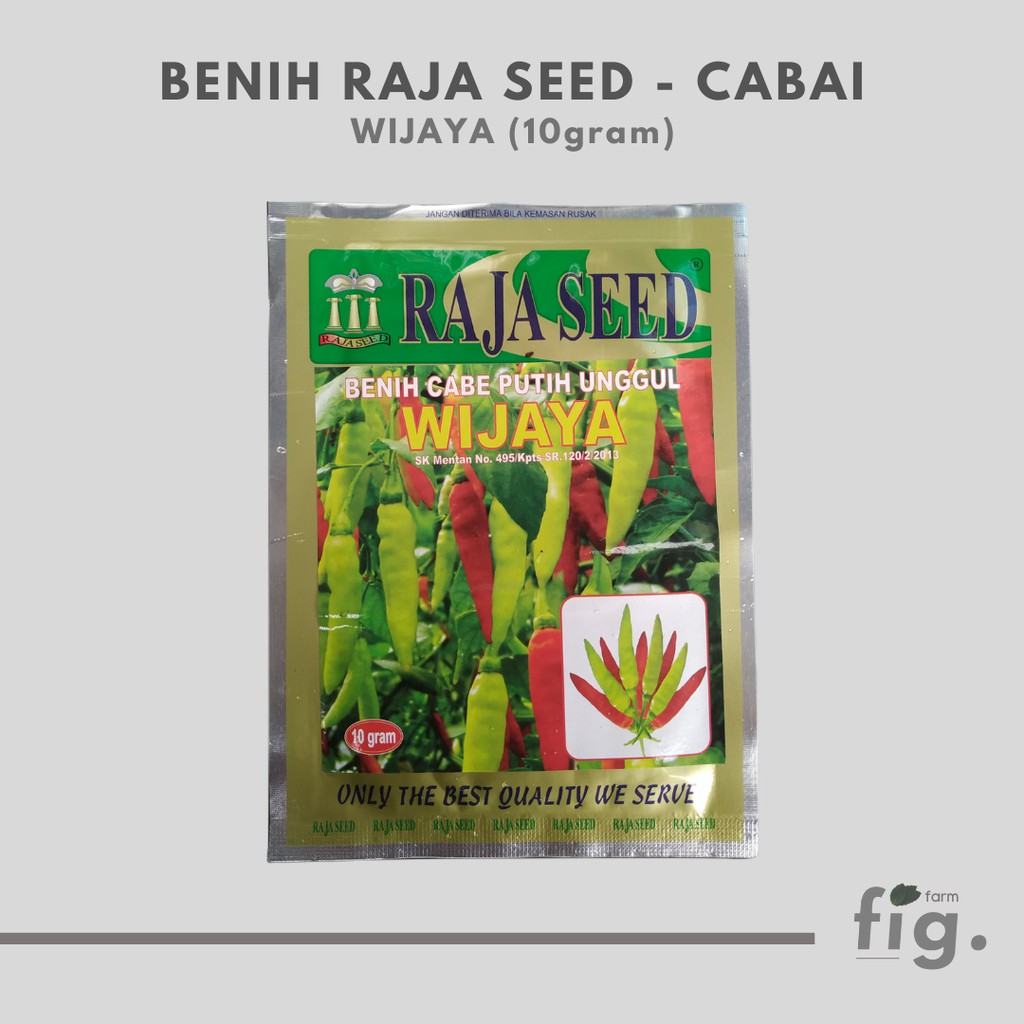 Jual Benih Raja Seed Cabai Wijaya (10 gram) | Shopee Indonesia