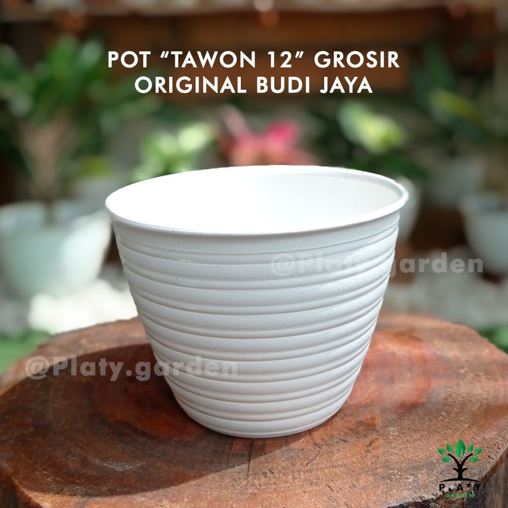 Jual Pot Tawon Original 12 cm Pendek | Pot Tanaman Hias Model Tawon ...