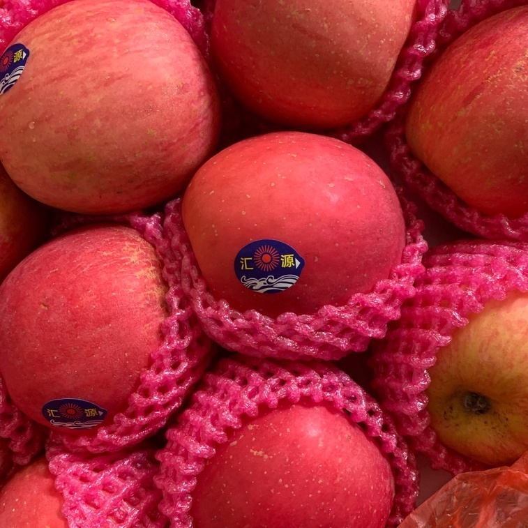 Jual Apel Fuji RRT /KG | Shopee Indonesia