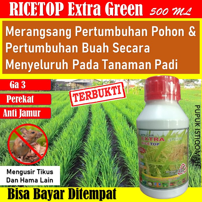 Jual Ricetop extra Green Pupuk NPK Cair Pelebat Padi + Tidak Disukai Tikus - Pupuk Penyubur ...