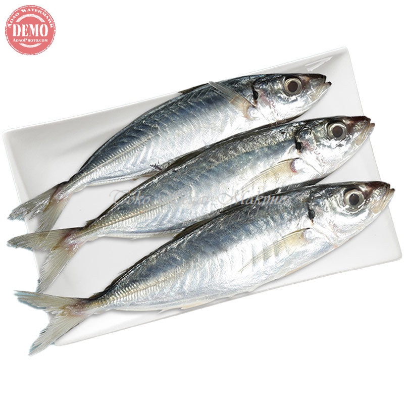 Jual Ikan Layang Segar Ikan Layang Jumbo 1Kg | Shopee Indonesia