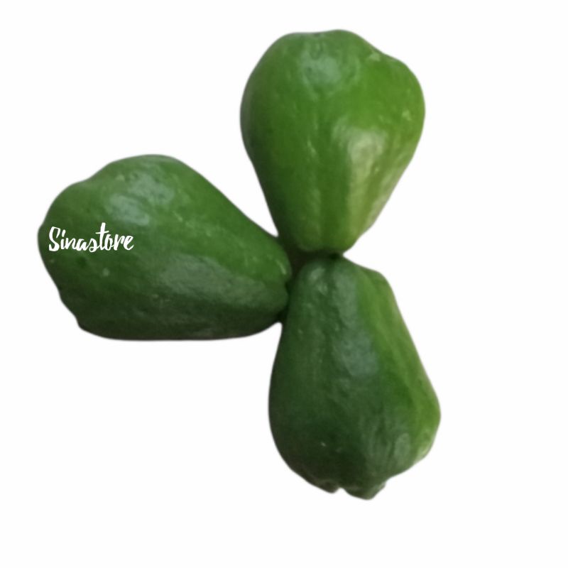 Jual Labu Siam muda /jipang fresh 1kg | Shopee Indonesia