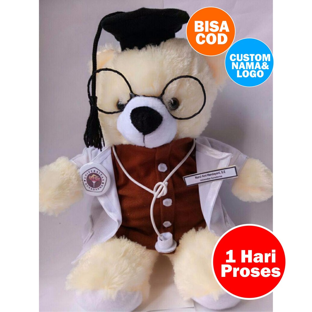 Jual Boneka Wisuda Profesi Dokter Hadiah Wisuda Perawat Bidan Kado ...