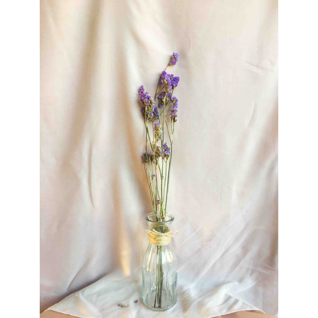 Jual Dried Flower/ Bunga Kering Bunga Statis (1 Bunch) | Shopee Indonesia