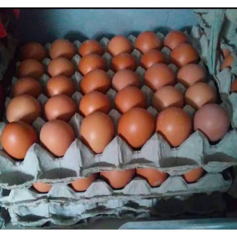 Jual Telur Ayam Negeri 1 kg | Shopee Indonesia