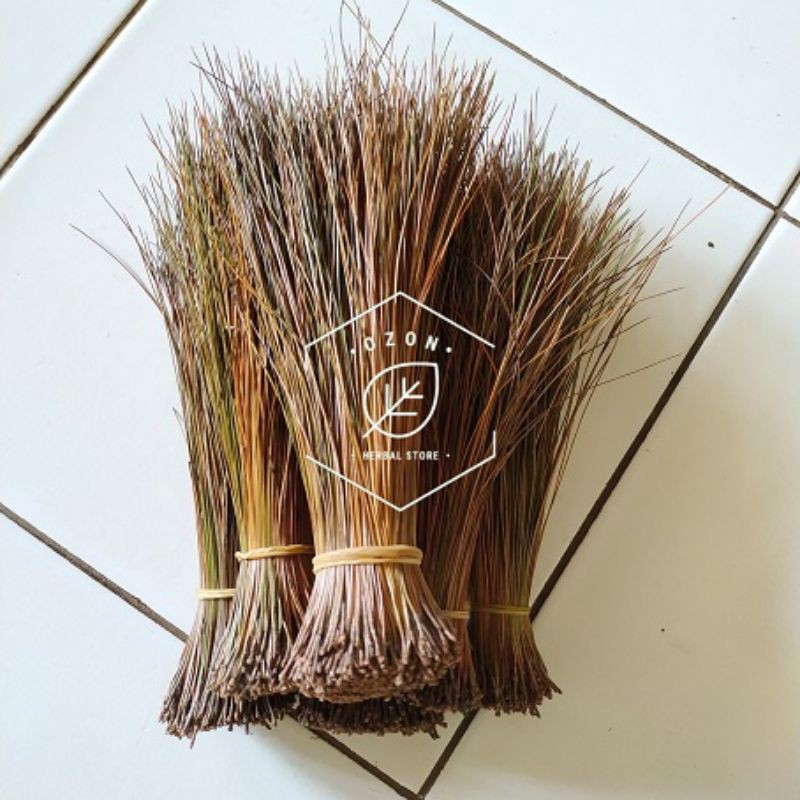Jual Daun Pinus Kering Kemasan 250gr | Shopee Indonesia