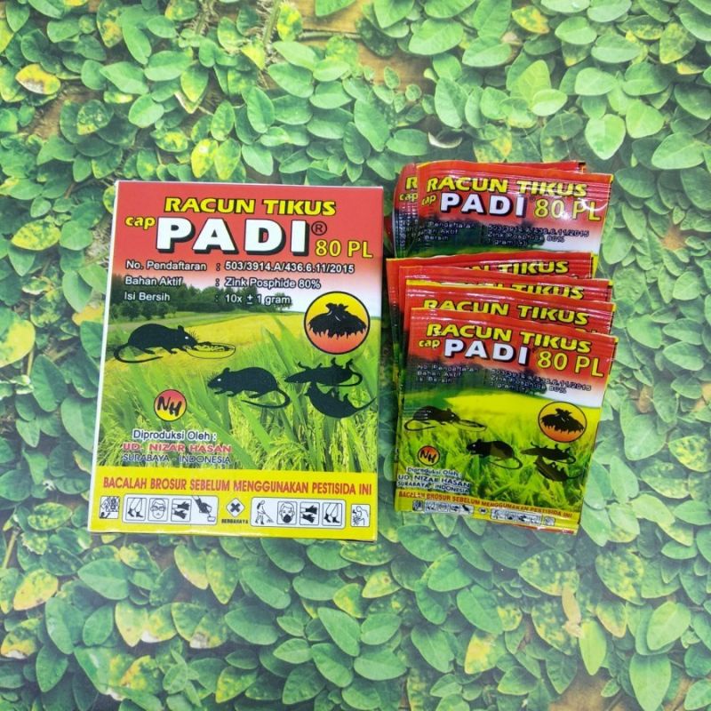 Jual Racun tikus cap padi / 1 box isi 10 bungkus | Shopee Indonesia