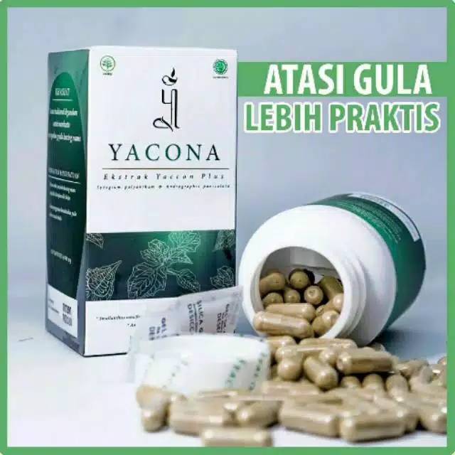 Jual Yacona Asli Yacona Original Obat Herba Atasil Diabetes Gula Darah ...
