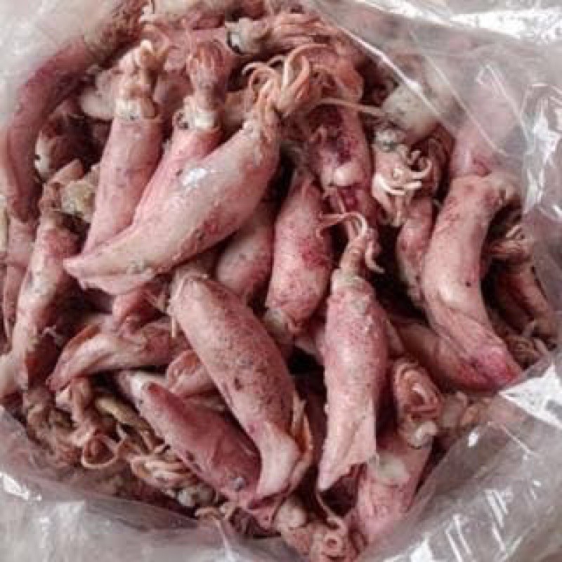 Jual cumi asin telur 250gr cumi telur asin cumi asin | Shopee Indonesia