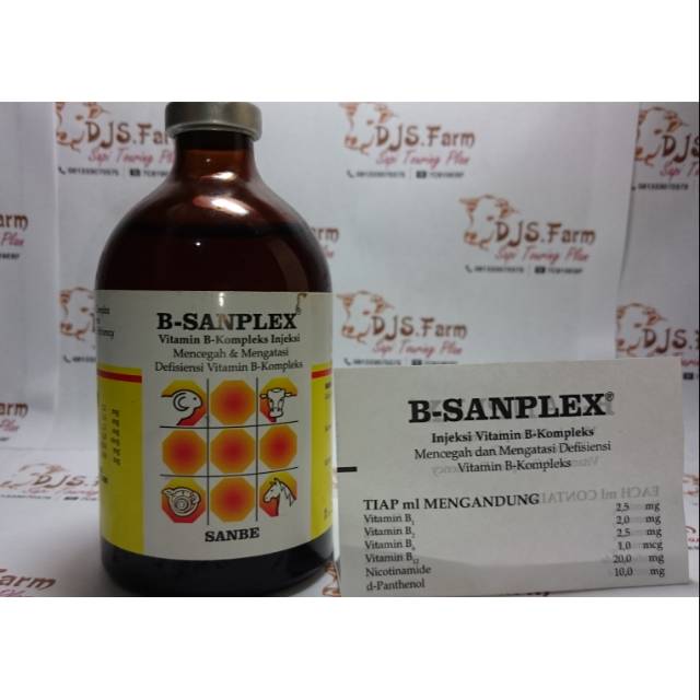 Jual Vitamin B Sanplex 100 ml Sanbe Vitamin B komplek B kompleks B ...