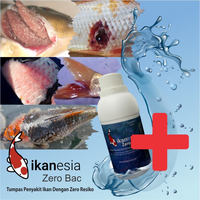 Jual Obat Ikan Ikanesia Zero Bac (250ml) | Shopee Indonesia