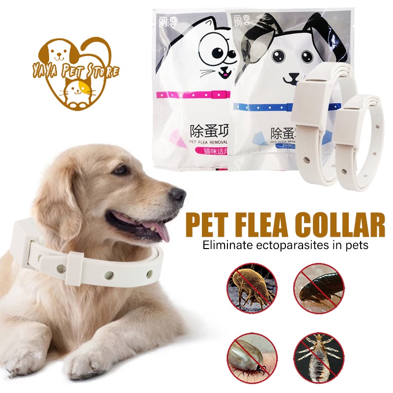 Jual Kalung Kutu Kalung Anti Derangga Pinjal Dan Anti Nyamuk Ukuran ...