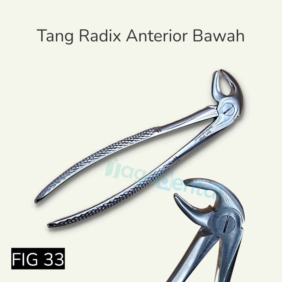 Jual DENTAL TANG CABUT GIGI DEWASA SATUAN TOOTH FORCEP / FORCEPS / TANG ...