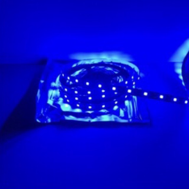 Jual Lampu LED Strip 3528 IP44 Biru 12V | Shopee Indonesia