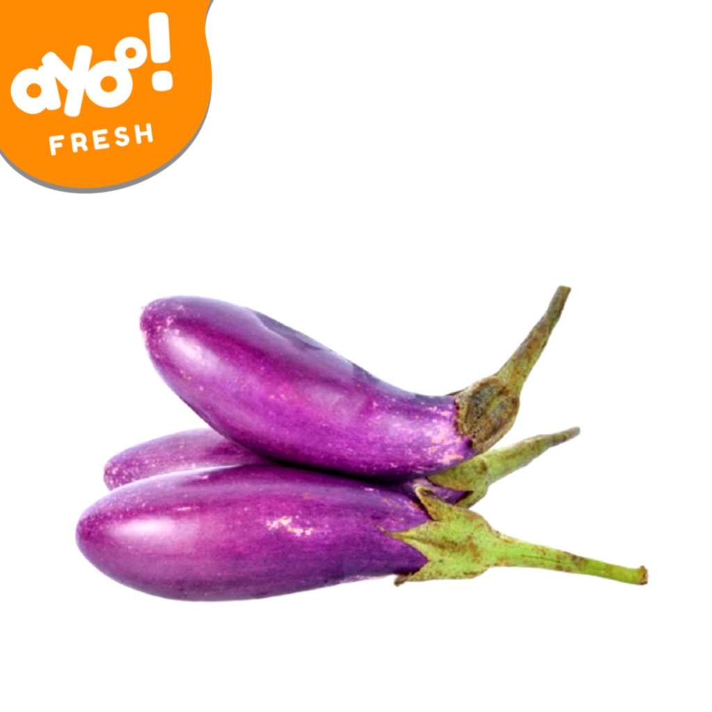 Jual Terong Ungu 500 g | Shopee Indonesia