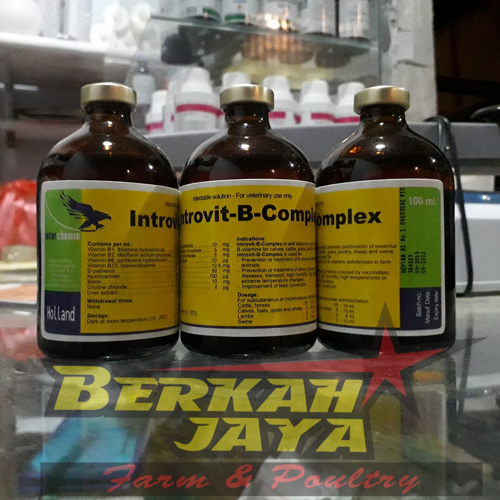 Jual Introvit B Complex Injeksi Vitamin B Kompleks Hewan | Shopee Indonesia