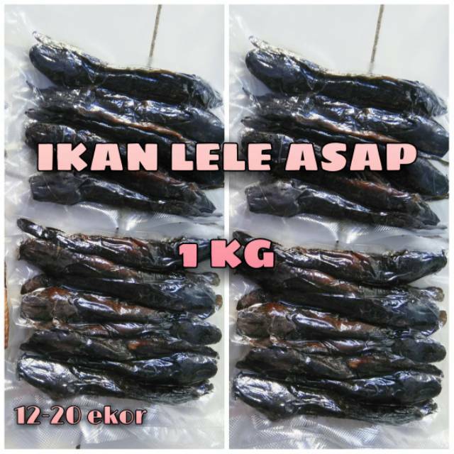 Jual IKAN LELE ASAP 1 KG | Shopee Indonesia