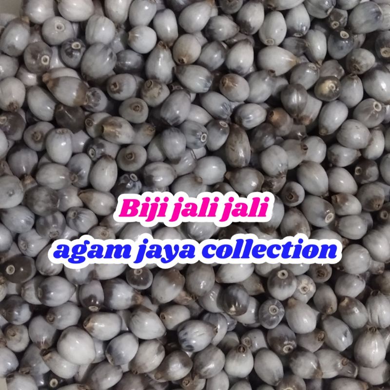 Jual Biji jali jali berat 500 gram | Shopee Indonesia