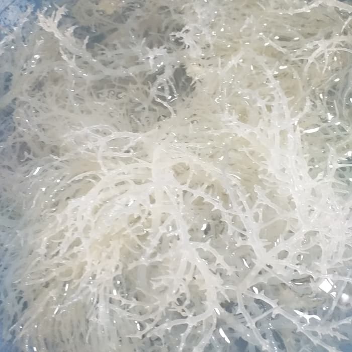 Jual Rumput Laut Kering 500 gr - Rumput ES - Rumput Masker | Shopee ...