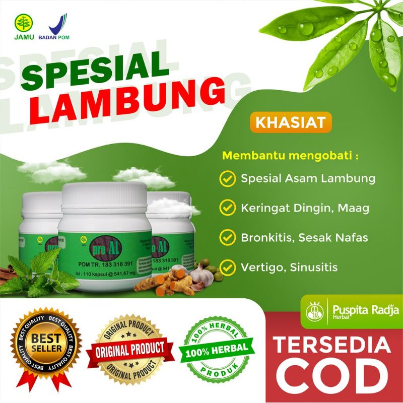 Jual Pro Al Obat herbal lambung, sesak nafas, bronkitis, vertigo ...