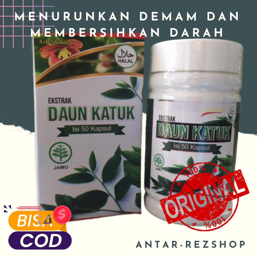 Jual Kapsul Ekstrak Daun Katuk / Pelancar Asi / Asi Booster / Menambah Zat Besi dan Nutrisi Bagi ...