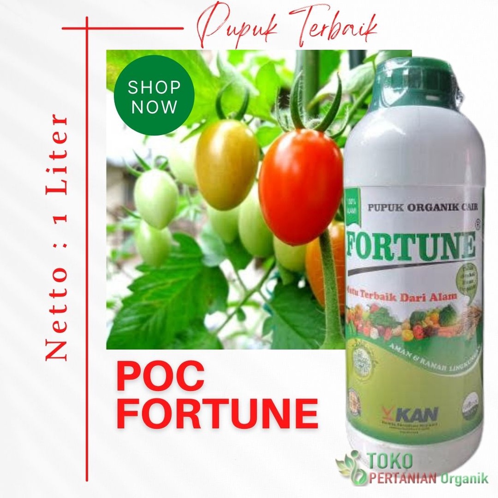 Jual Pupuk Fortune Super 1000 Ml Pembesar Batang Daun Dan Buah Kapulaga agar berbuah lebat ...
