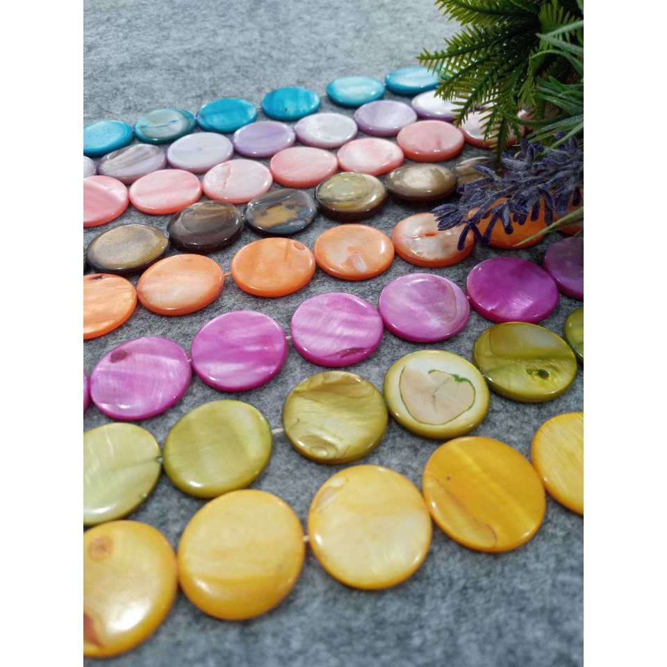 Jual KERANG PIPIH ANEKA WARNA 20MM | Shopee Indonesia