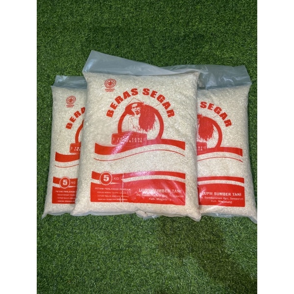 Jual BERAS IR SEGAR 5KG | Shopee Indonesia