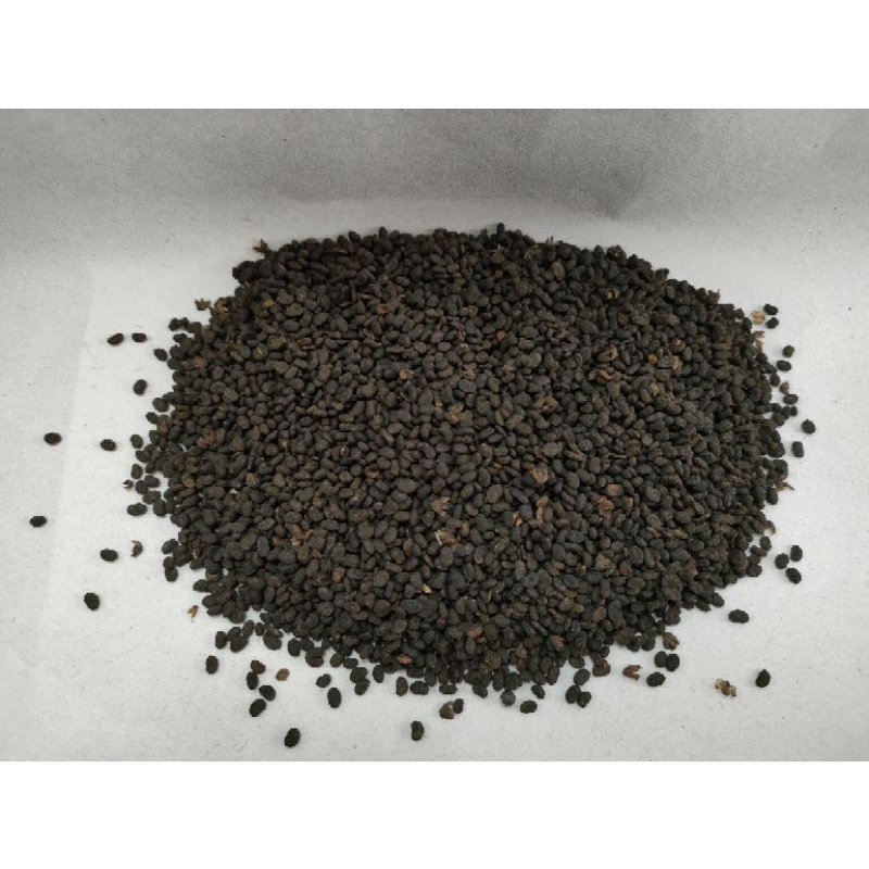 Jual Bu gu zi fructus psoraleae corylifoliae 100 gram | Shopee Indonesia