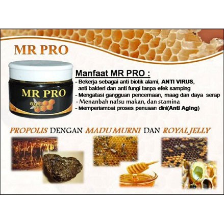 Jual MR PRO ( pengemuk badan ) | Shopee Indonesia
