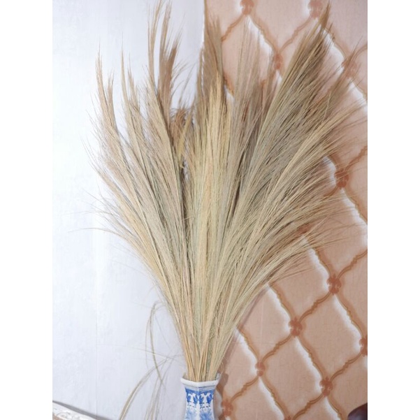 Jual Dekorasi Rustik Tanaman Daun Kering Sikas Palem Gandum Ilalang ...
