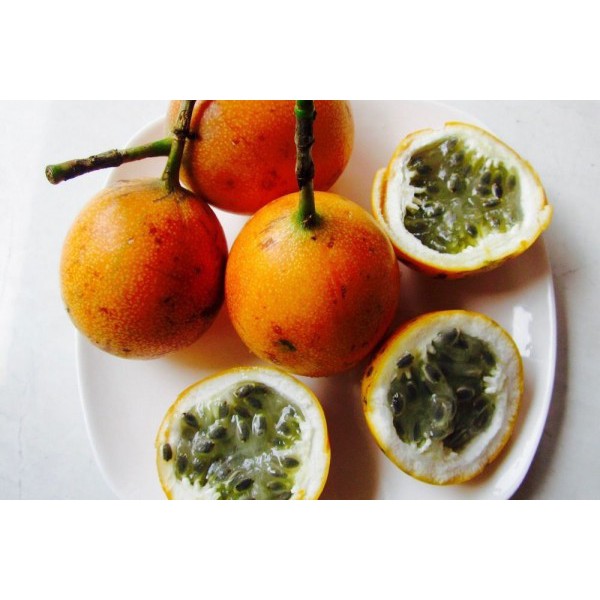 Jual Buah Markisa Manis Segar Fresh 1 Kg | Shopee Indonesia