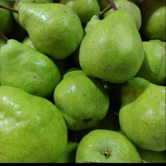 Jual Pear hijau jambu 1kg | Shopee Indonesia