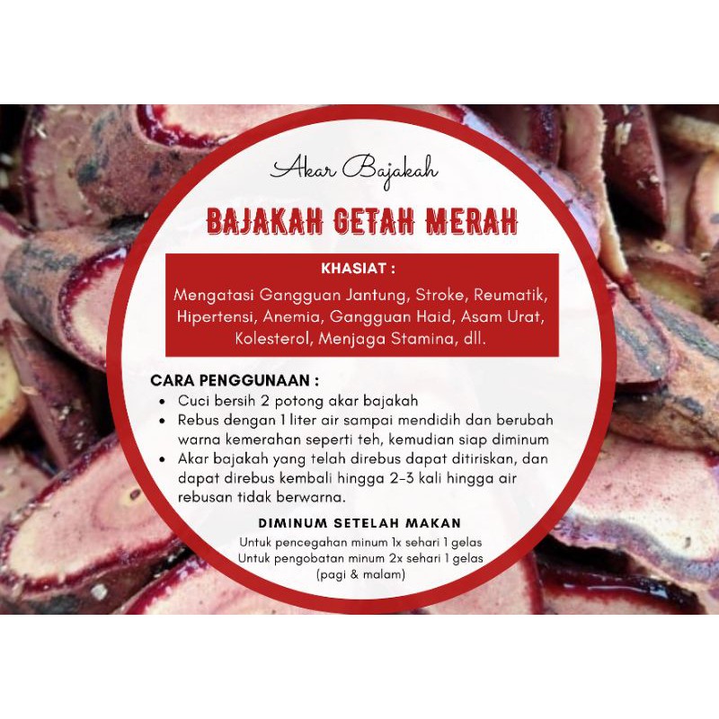 Jual Akar Bajakah Getah Merah | Shopee Indonesia