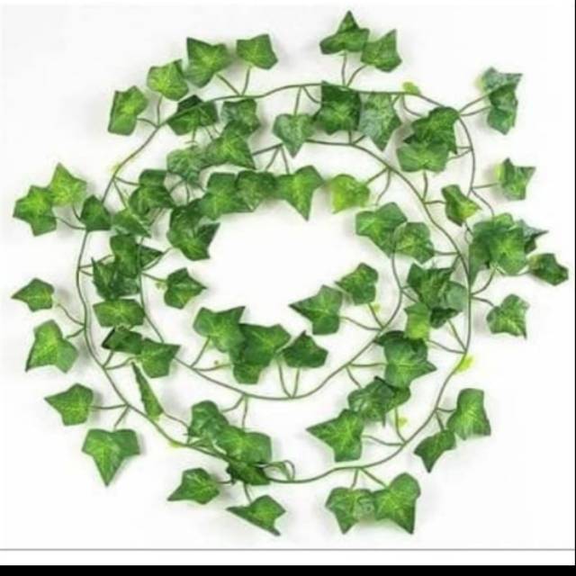 Jual Daun rambat sulur daun palstik | Shopee Indonesia