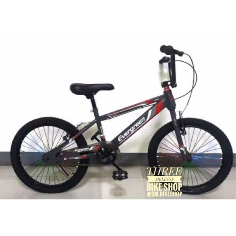 Jual SEPEDA BMX EVERGREEN B1 20 INCH WARNA GREY | Shopee Indonesia