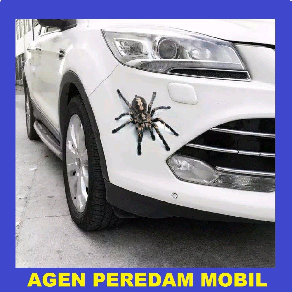 Jual STIKER 3D MOBIL LABA-LABA | Shopee Indonesia