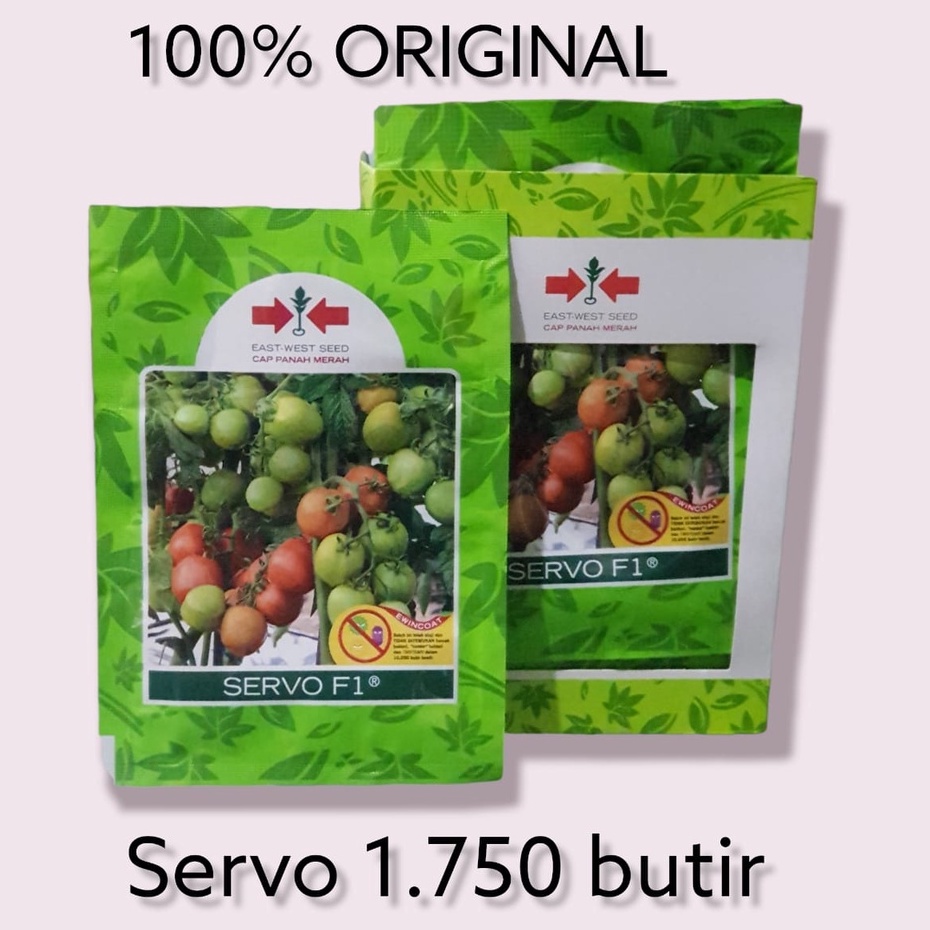 Jual TOMAT SERVO TYMOTI F1 ASLI ORIGINAL | Shopee Indonesia