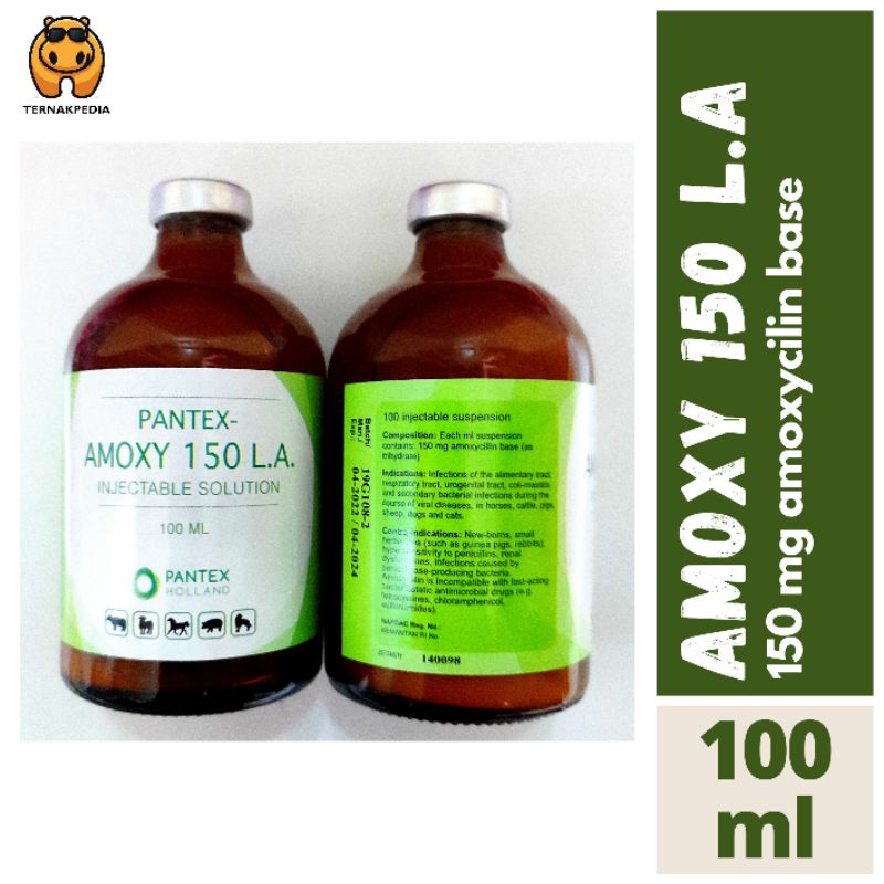 Jual Amoxy 150 L.A 100 ml - Amoxy LA Pantex 100 ml - Mirip Betamox 100 ...
