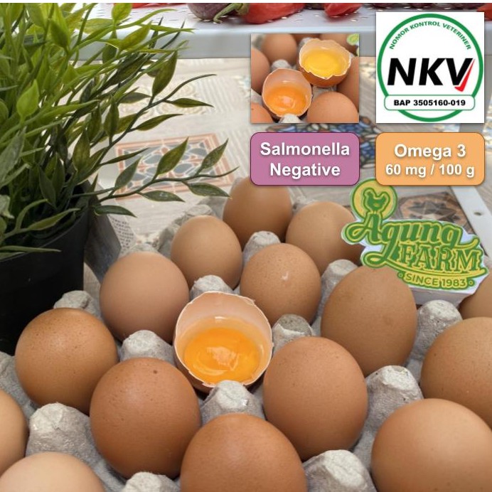 Jual Telur Agung Farm Telur Ayam Negri Negeri per kg Curah Segar dari ...