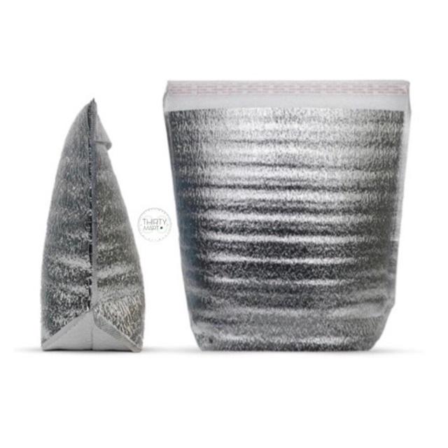 Jual Insulation Thermal Pouch - Tas Cooler Pouch | Shopee Indonesia