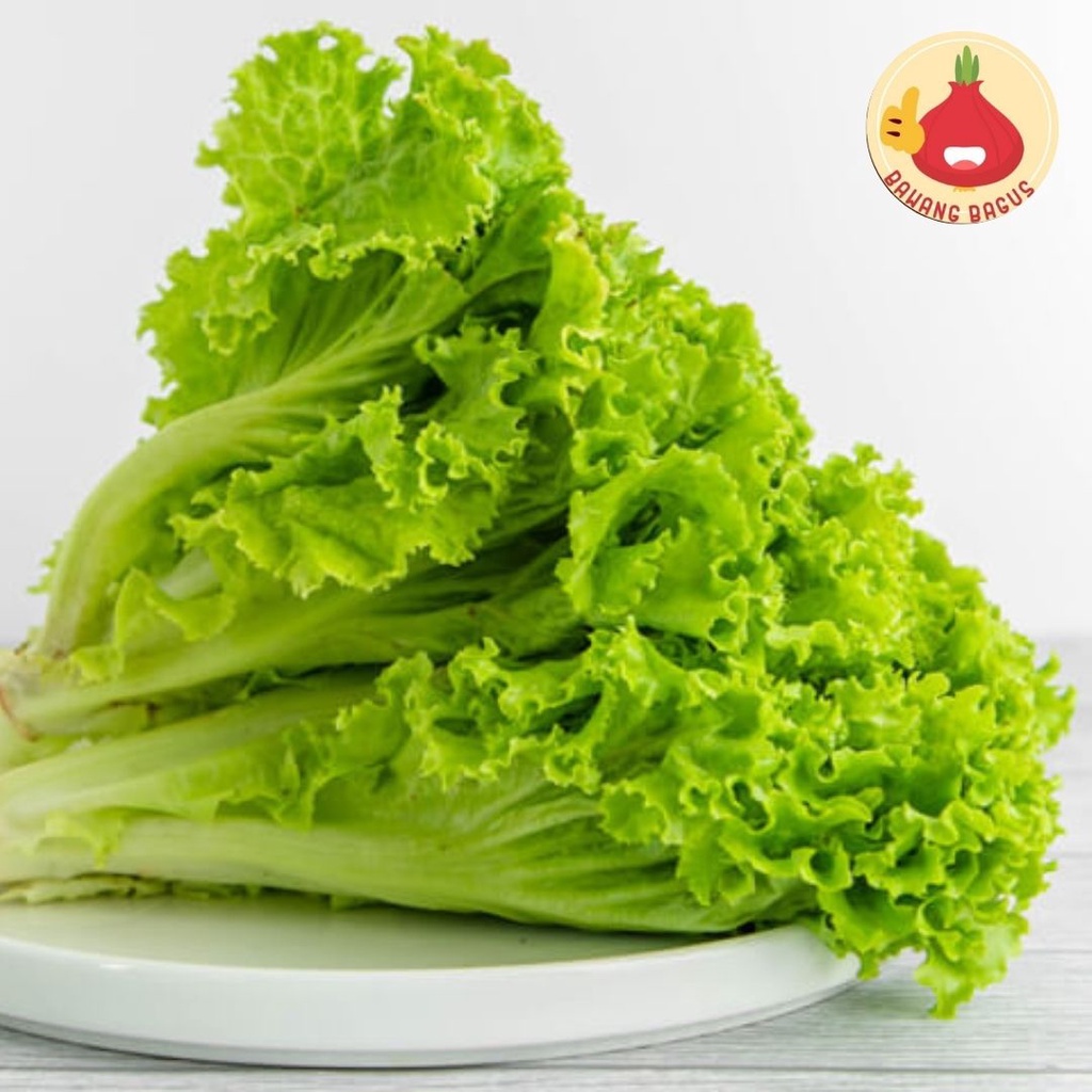 Jual SLADA AIR/SLADA KRITING/SAYURAN SEGAR SLADA 250gr - Bawangbagus ...